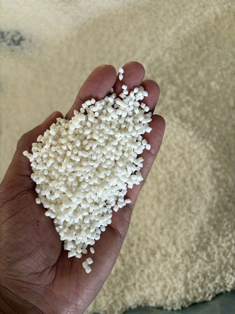 Injection Molding Resin - Deltora Biopolymers Private Limited